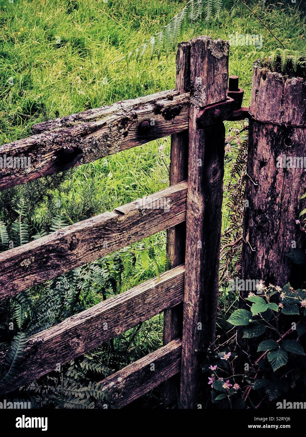 Old wooden gate to field Stock Photo - Alamy