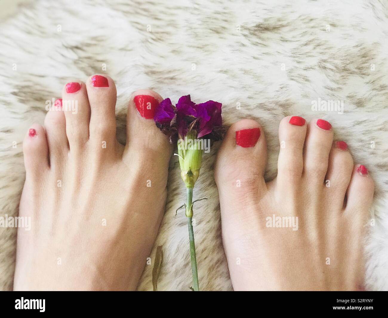 Feet flowers between toes hi-res stock photography and images - Alamy