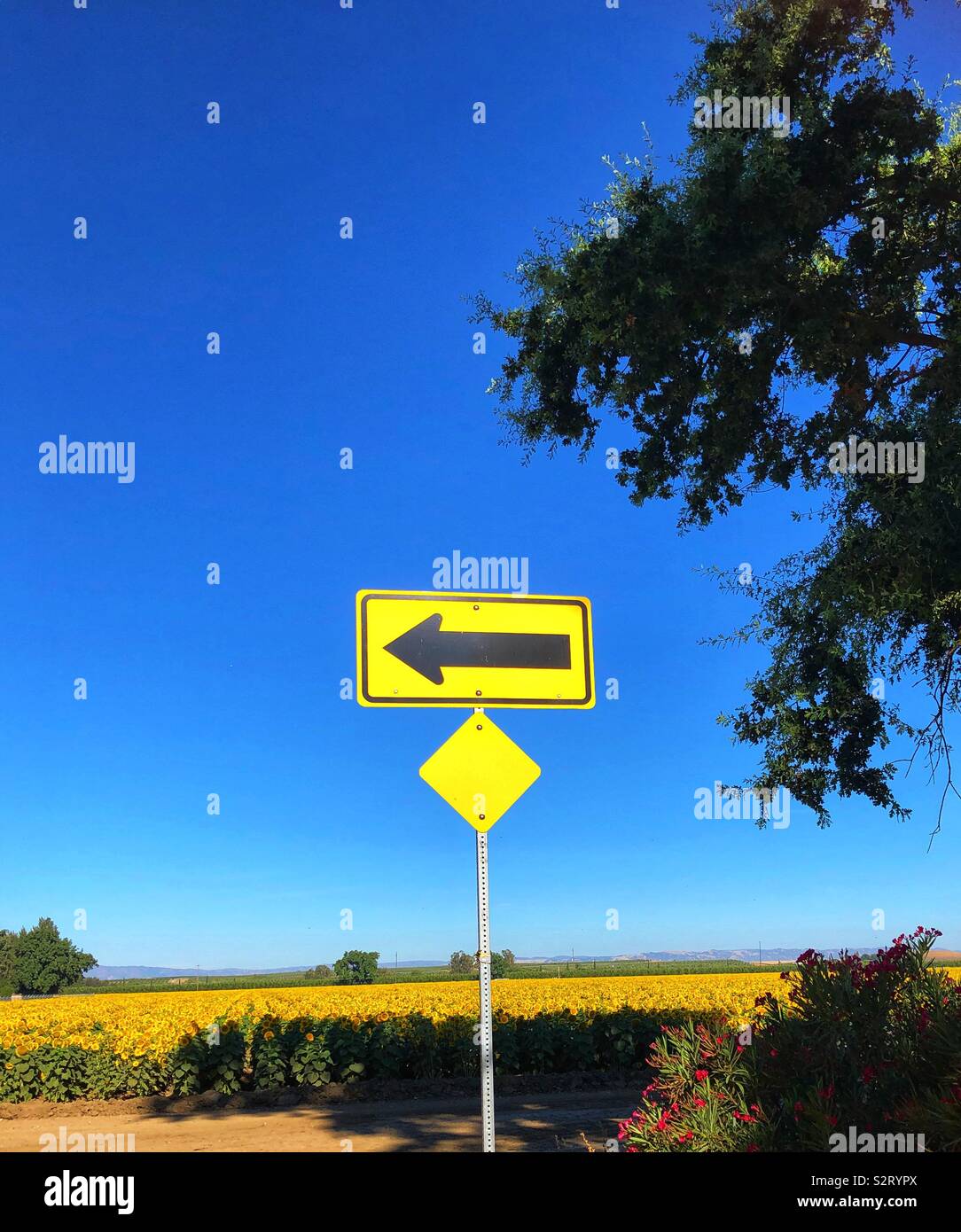 Left turn sign on a country road in Northern California Stock Photo - Alamy