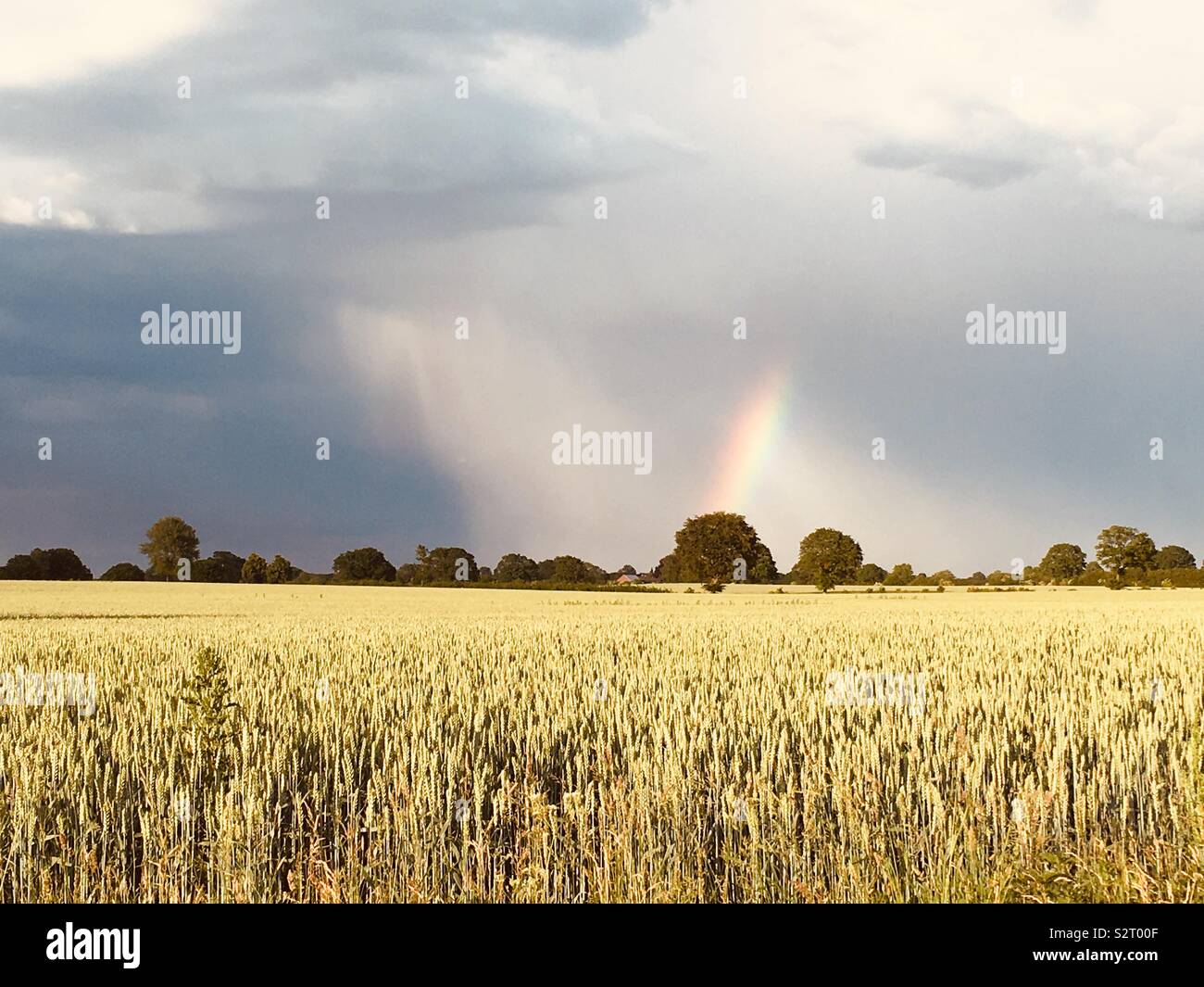 Rain and sunshine hi-res stock photography and images - Alamy