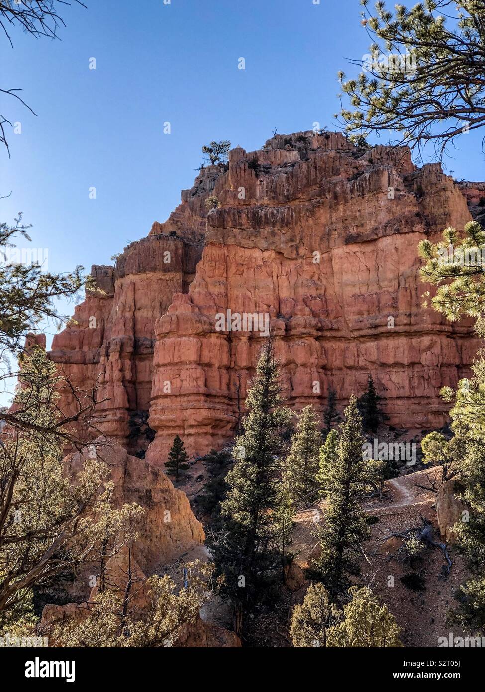 Utah dixie national forest hi-res stock photography and images - Alamy