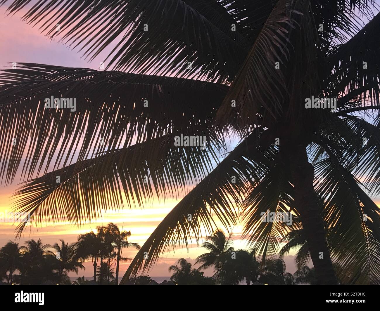 Jamaican paradise hi-res stock photography and images - Alamy