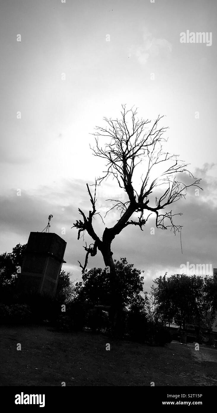 Haunted photography hi-res stock photography and images - Alamy