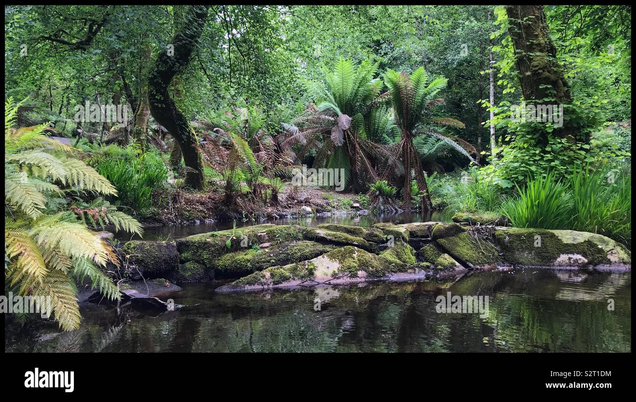Pond and rocks hi-res stock photography and images - Alamy