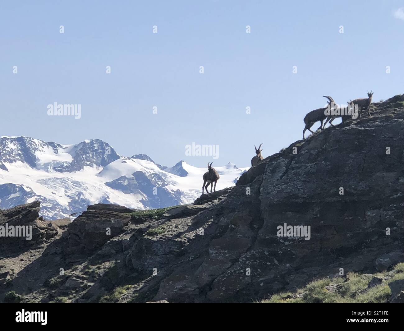 Going up to Mount Zerbion Stock Photo - Alamy