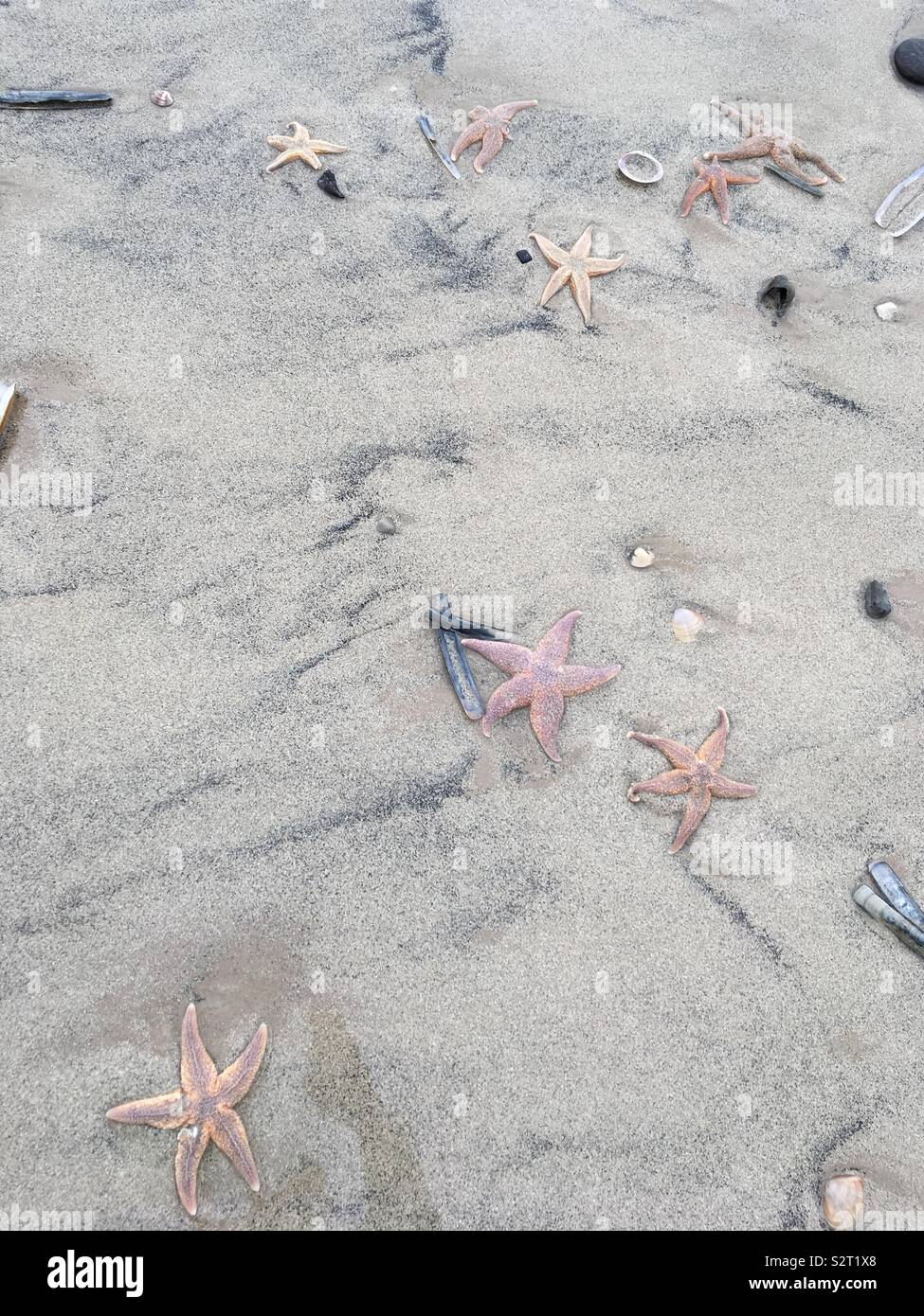 One day on the beach Stock Photo - Alamy