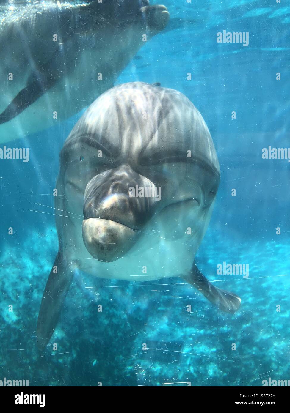 Happy swim hi-res stock photography and images - Alamy