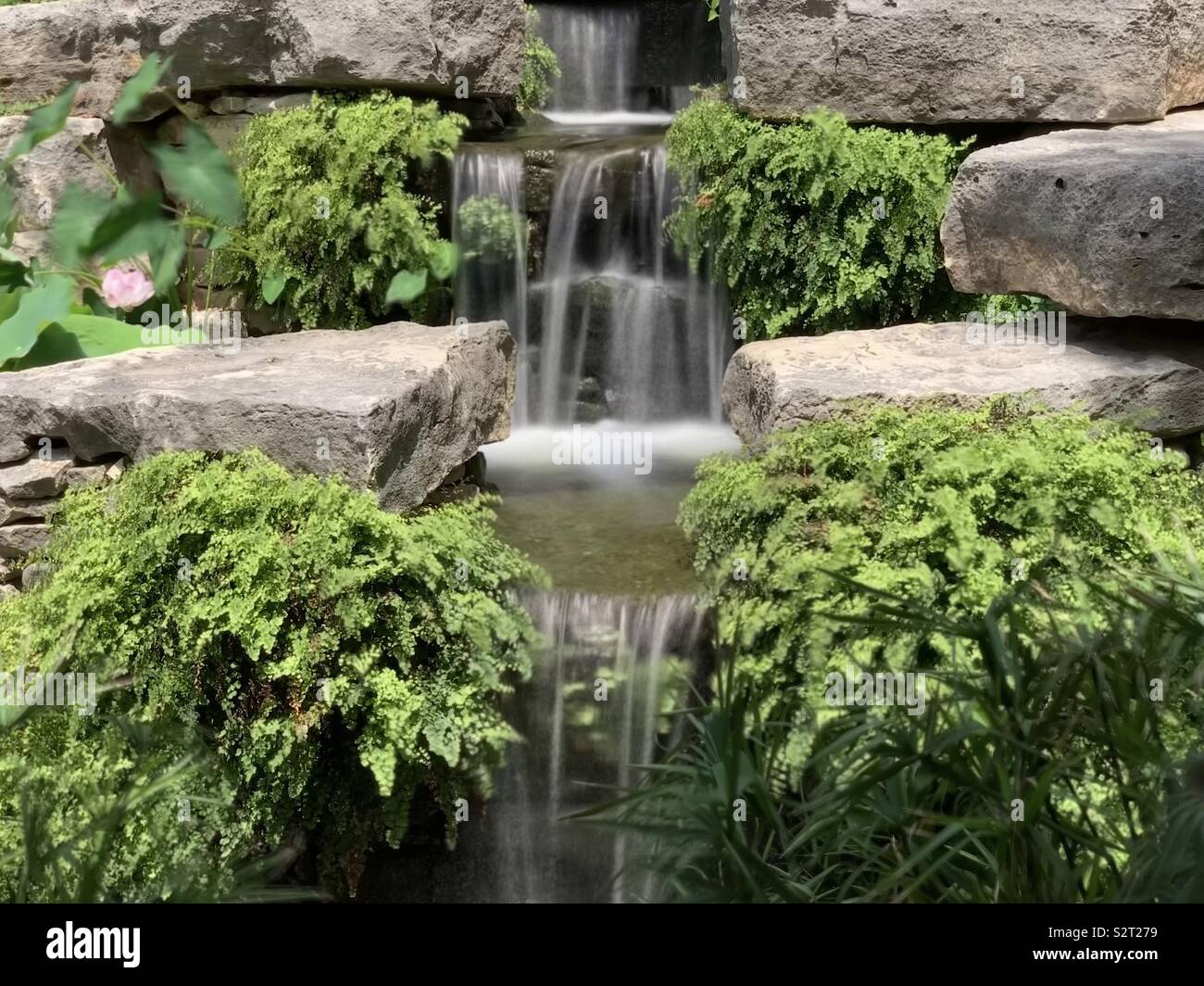 Waterfall at the botanical gardens Stock Photo - Alamy