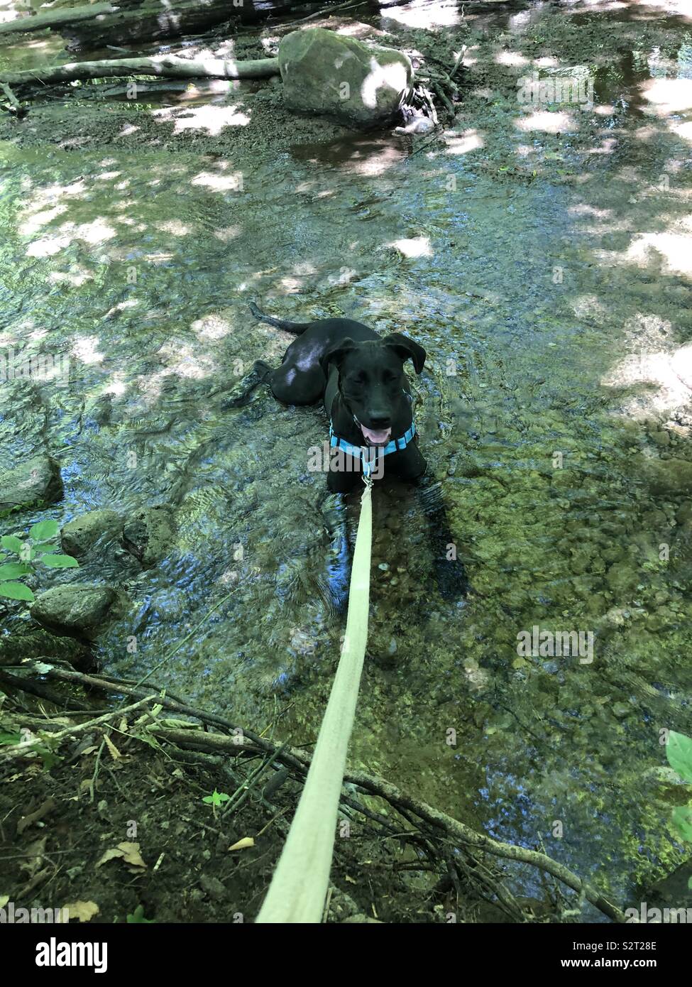 Heat rush hi-res stock photography and images - Alamy