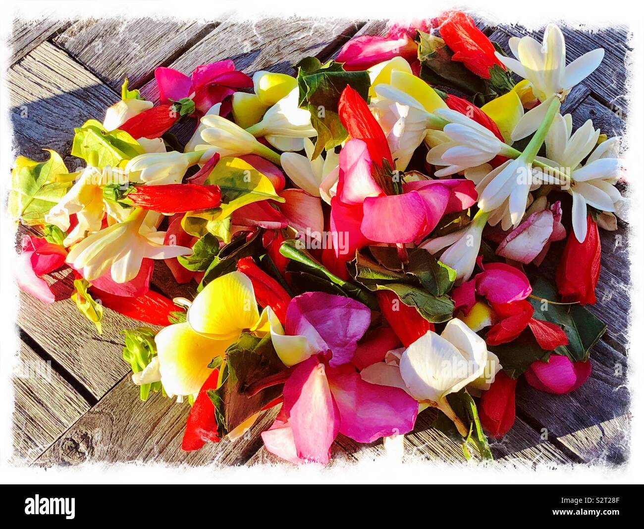Tiare flower hi-res stock photography and images - Alamy