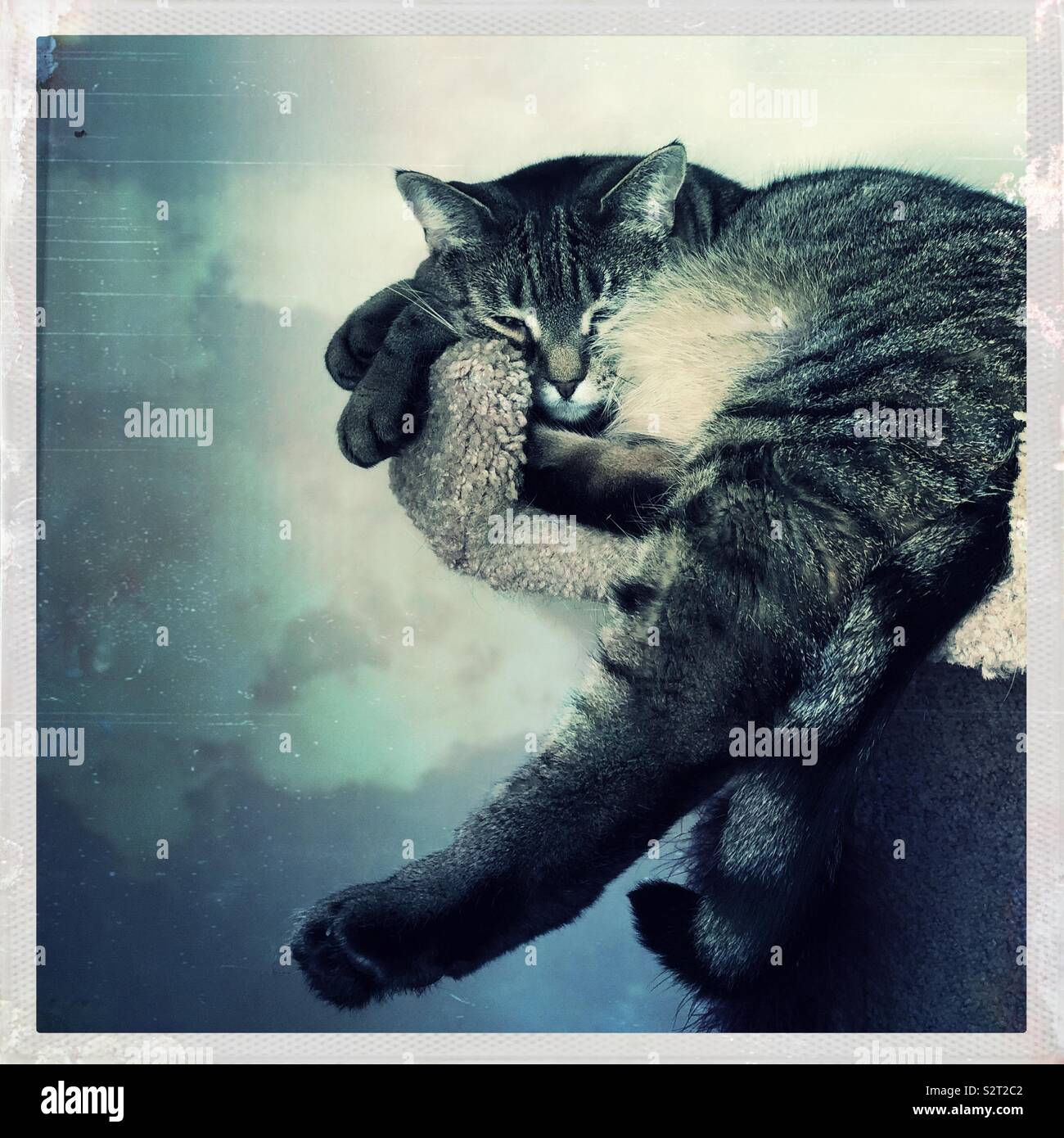 Totally relaxed hi-res stock photography and images - Alamy