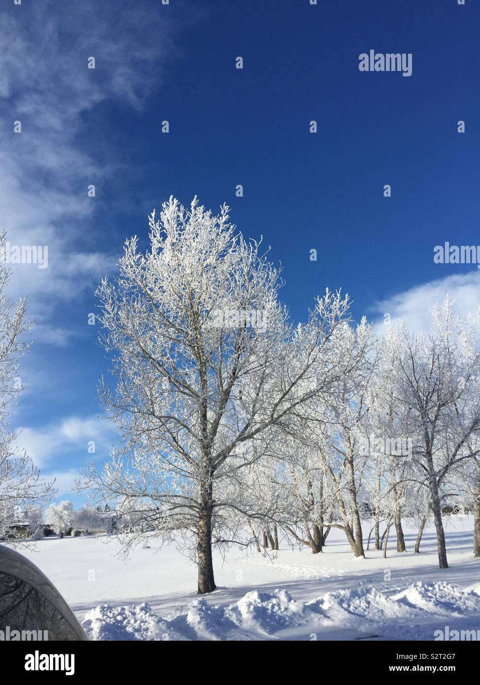 Winter in Oyen, AB Stock Photo - Alamy