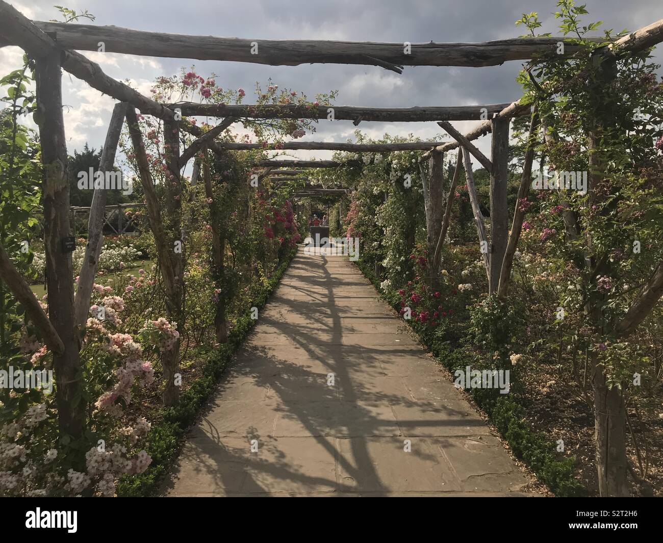Rose walk hi-res stock photography and images - Alamy