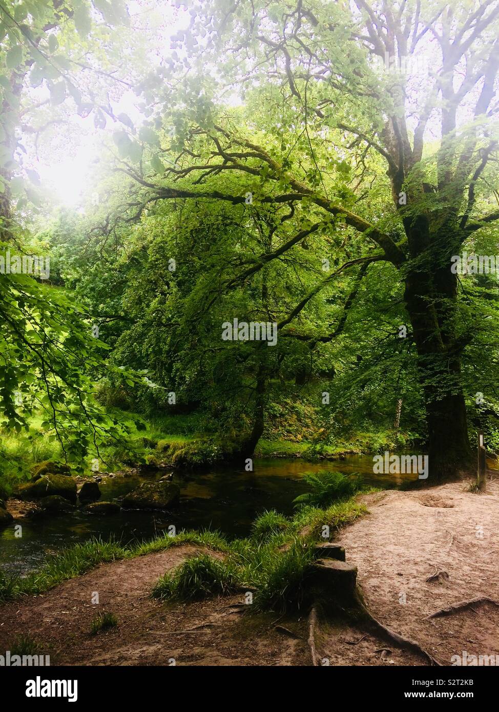 Hidden secrets hi-res stock photography and images - Alamy