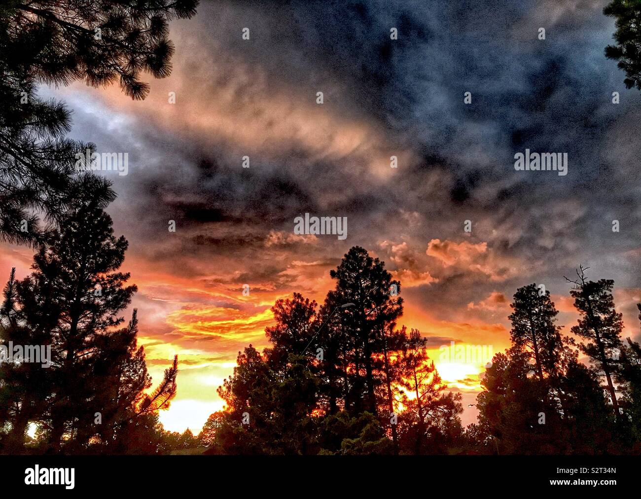 Show low arizona hi-res stock photography and images - Alamy
