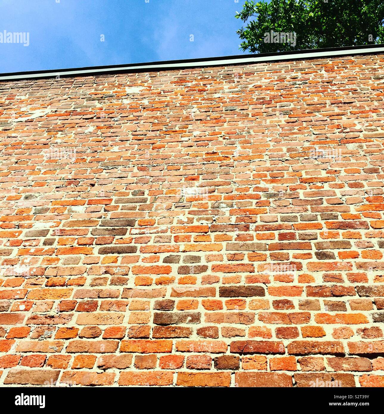 Tall Brick Building Tall Brick Building