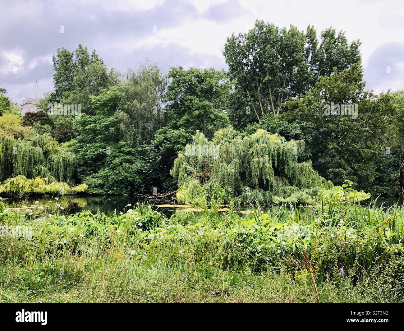 St James’ Park greenery in London Stock Photo - Alamy
