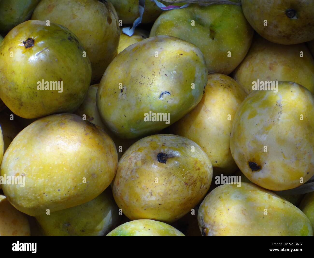 Mangoes are sweet hi-res stock photography and images - Alamy