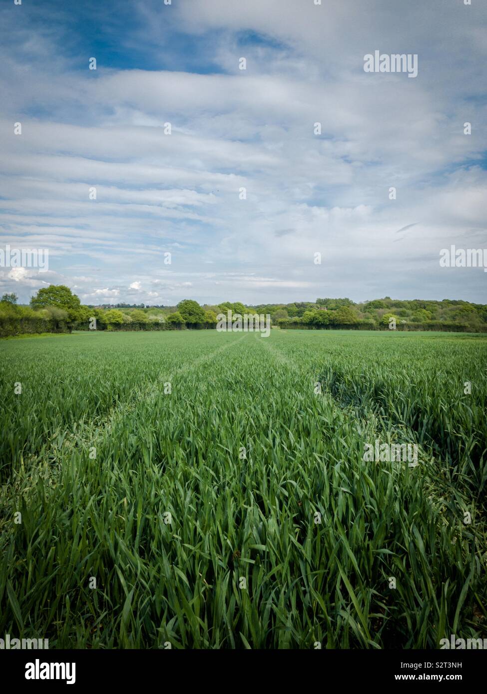 Tractor tracks across field hi-res stock photography and images - Alamy