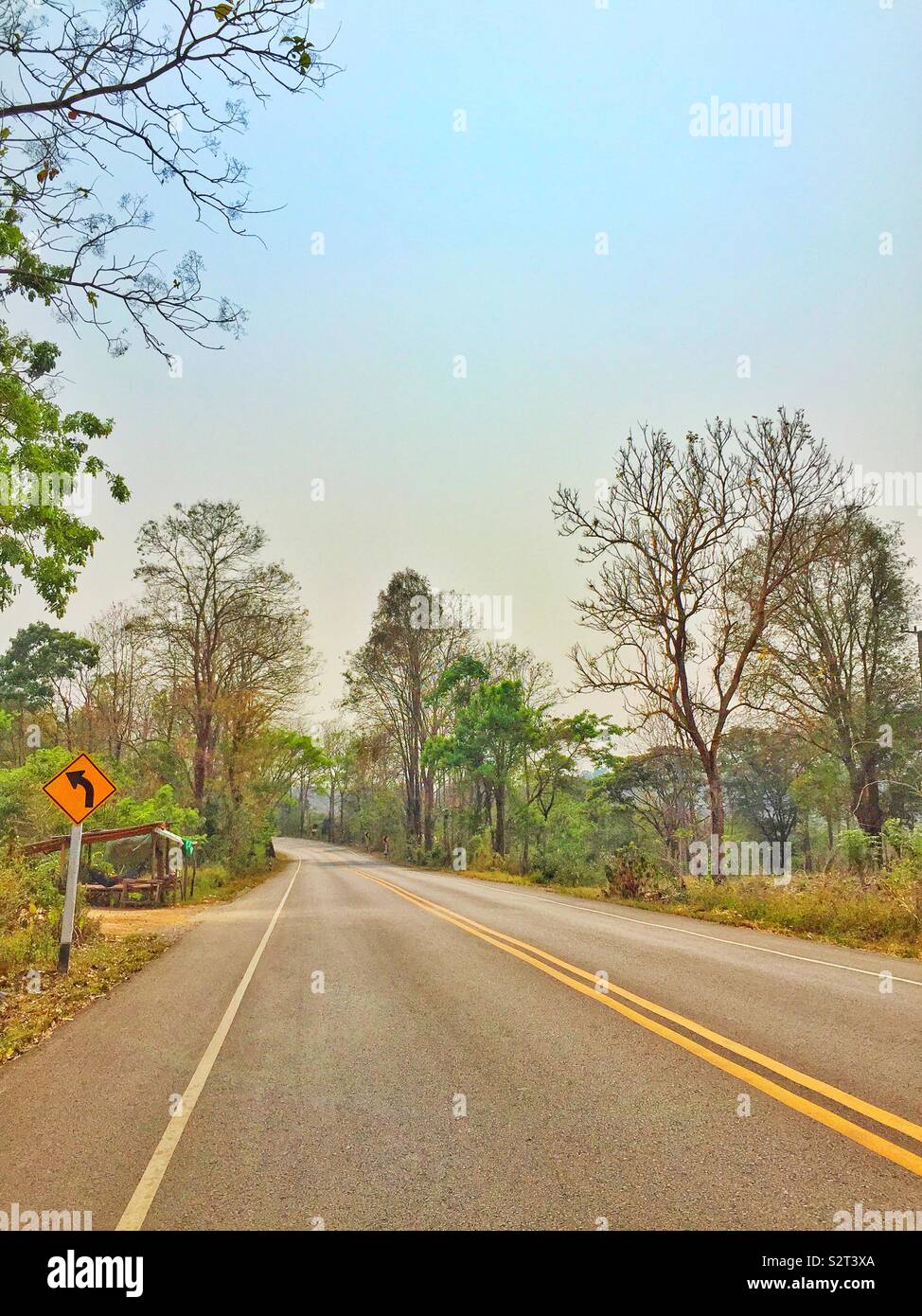 Empty road with trees hi-res stock photography and images - Alamy