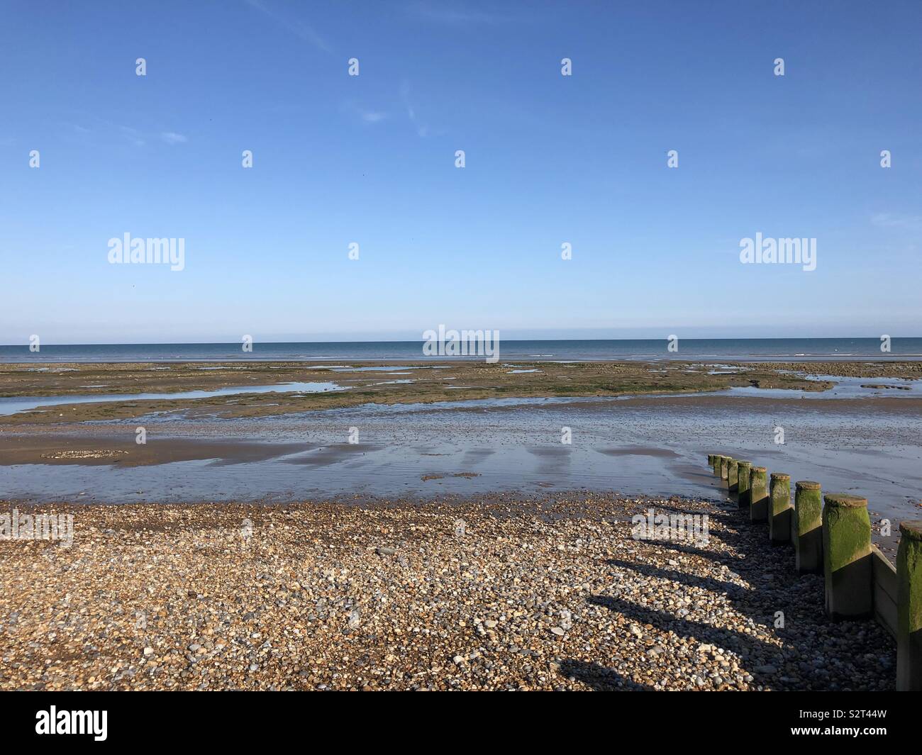 Are Dogs Allowed On Pett Level Beach