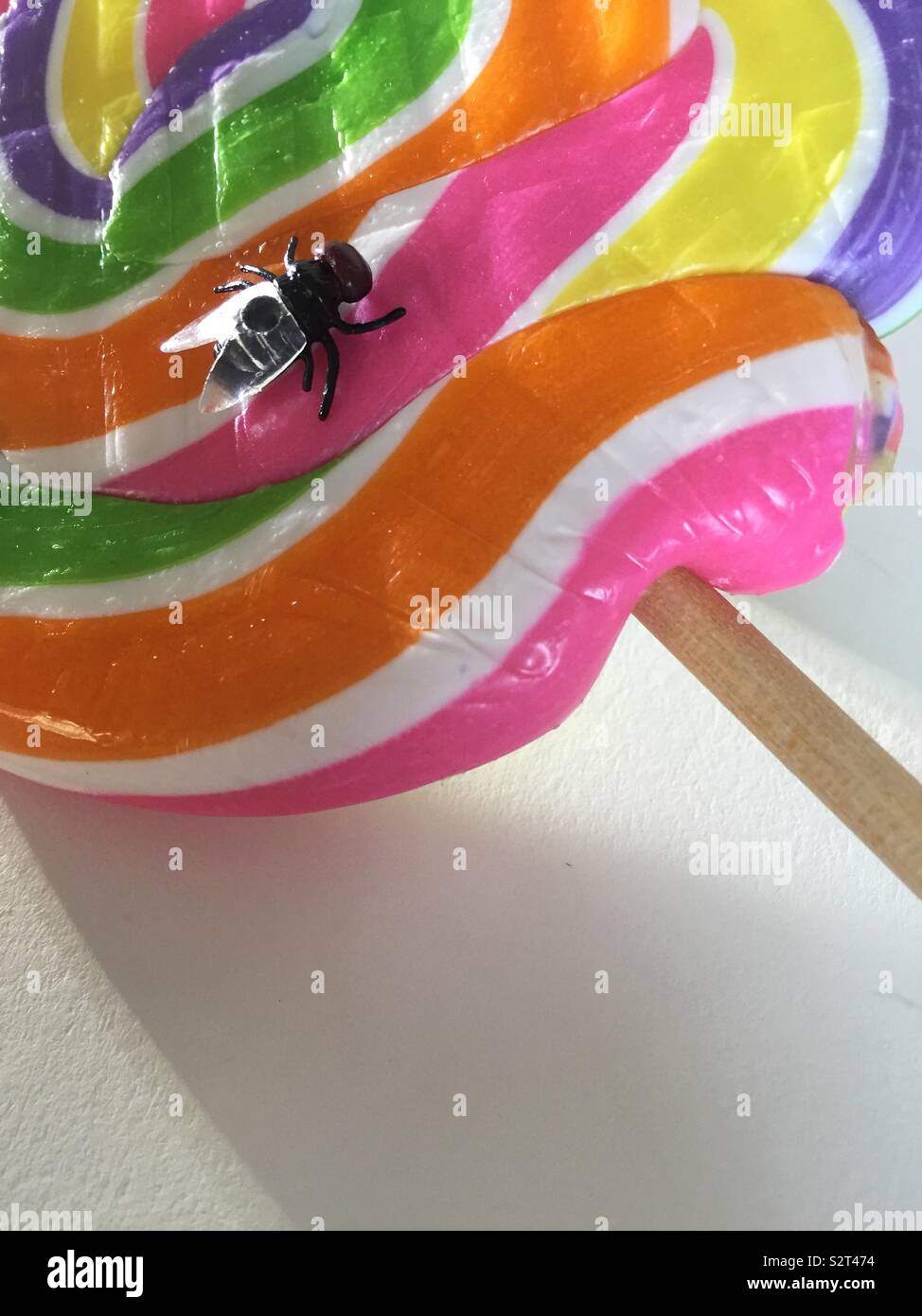 Insect candy hi-res stock photography and images - Alamy
