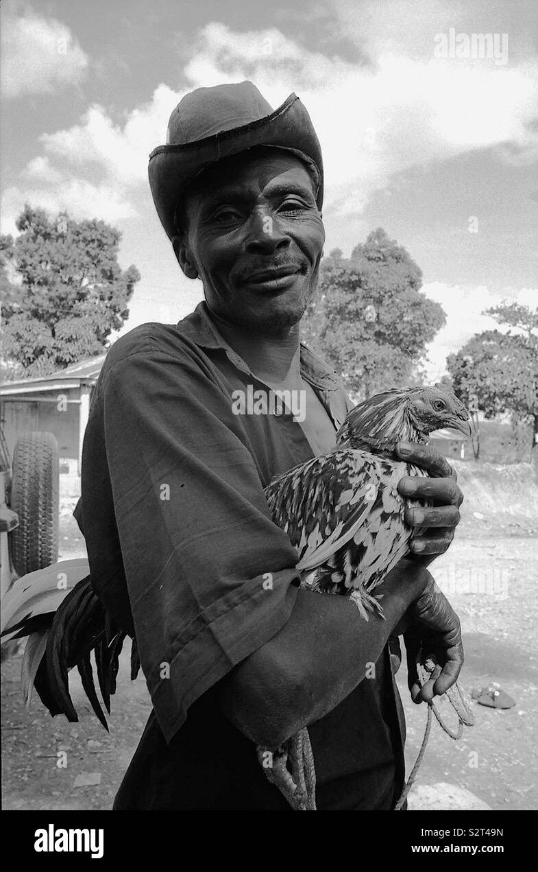 Man Holding Rooster High Resolution Stock Photography and Images - Alamy