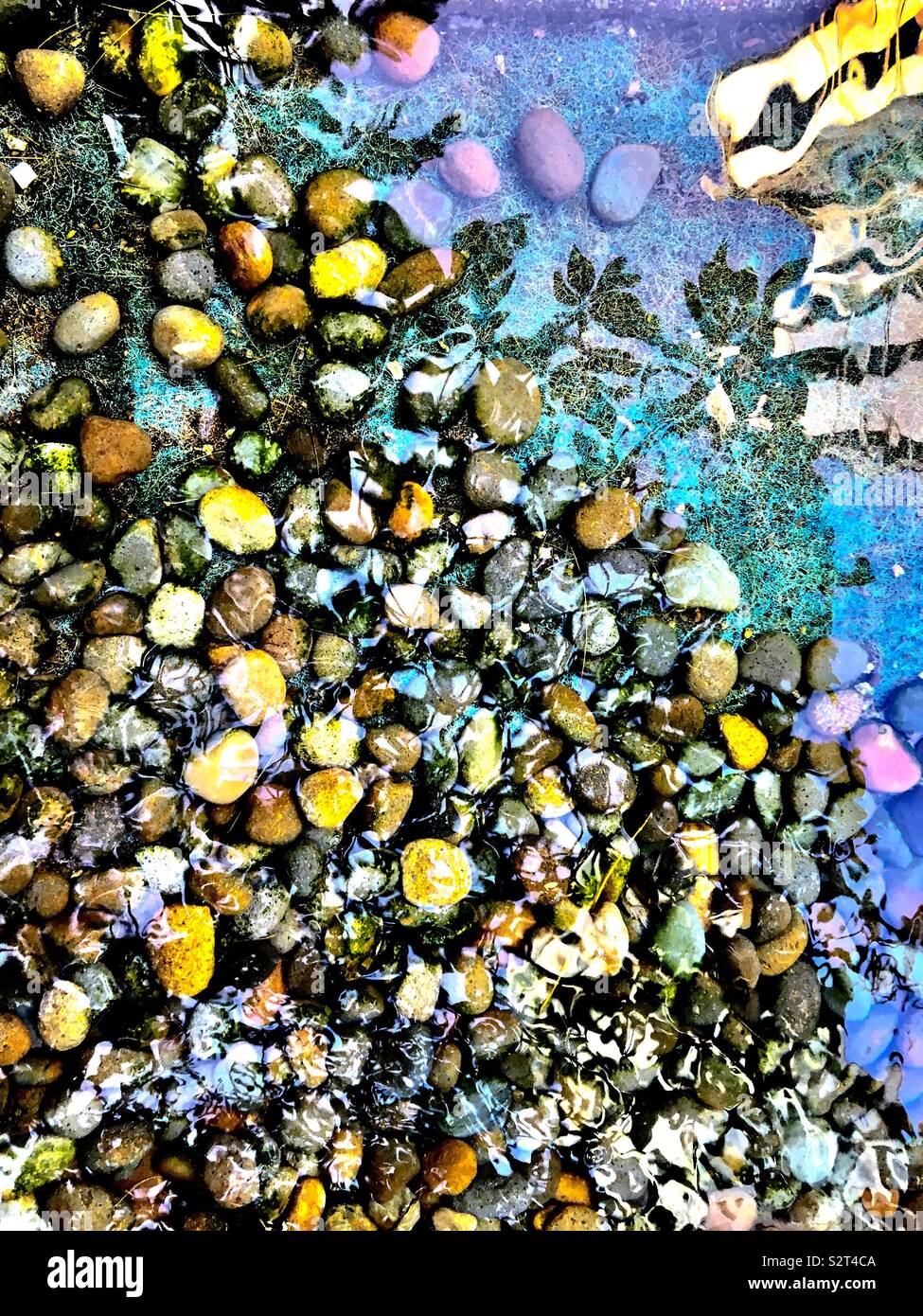 Natural stones in a pond Stock Photo - Alamy
