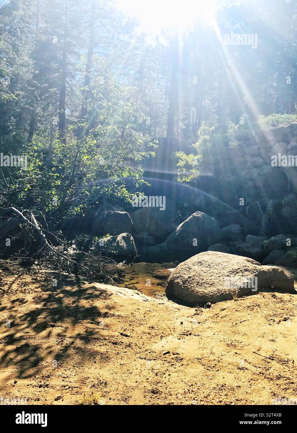 Mountain life at Hermit Valley in Northern California among the forest ...