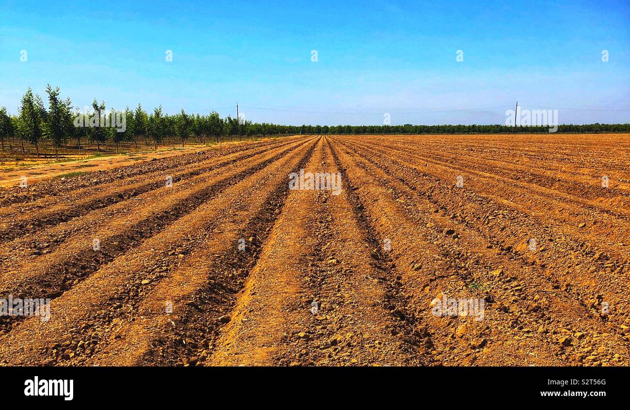 The field at rest Stock Photo - Alamy