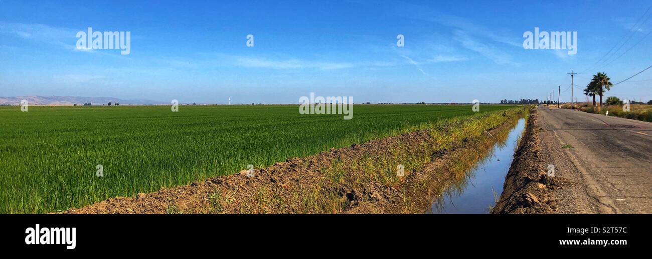 Field, irrigation canal hi-res stock photography and images - Alamy