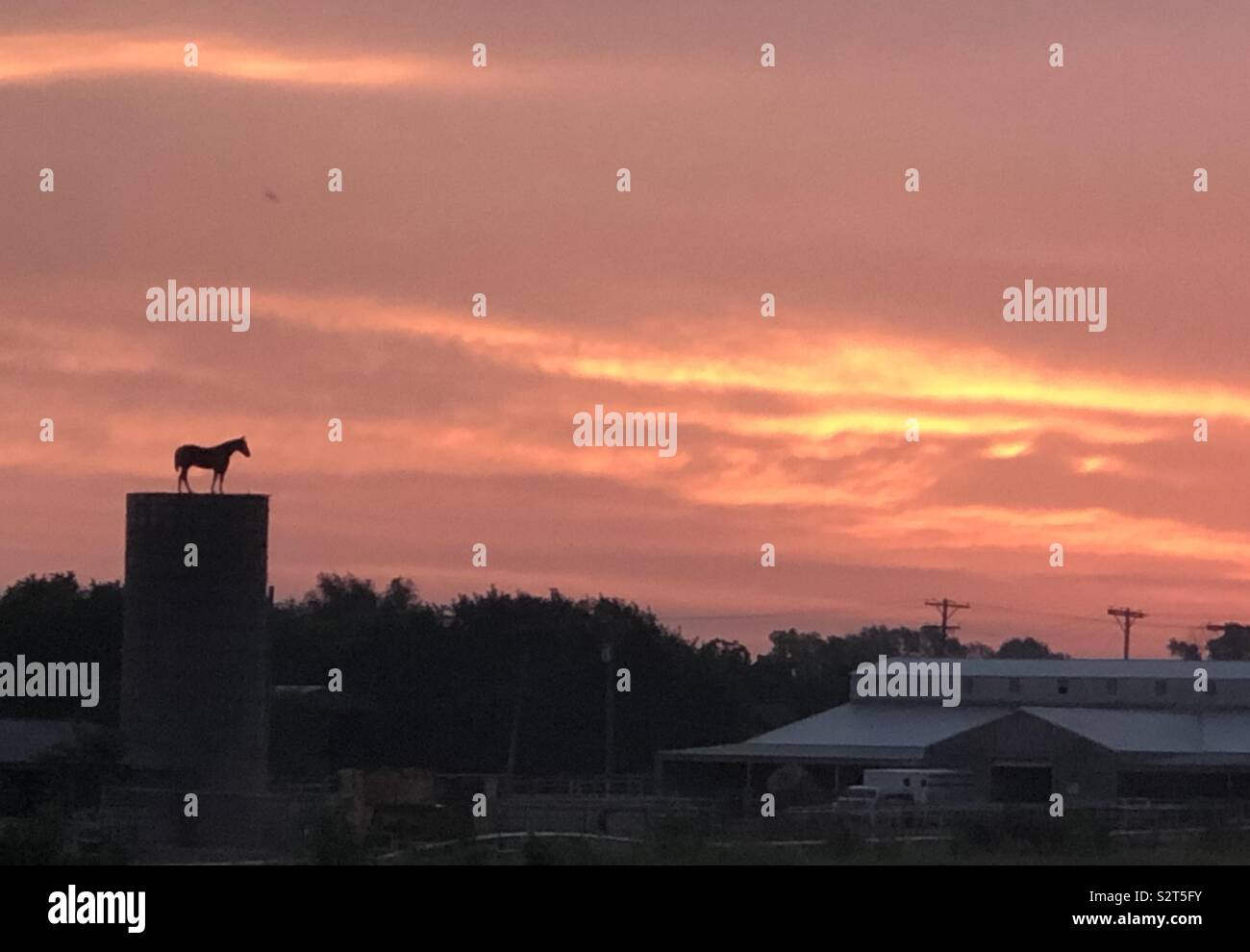 Horse farm on the prairie at sunrise Stock Photo - Alamy