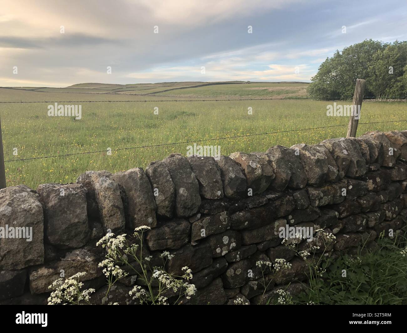 Peak district stone wall hi-res stock photography and images - Alamy