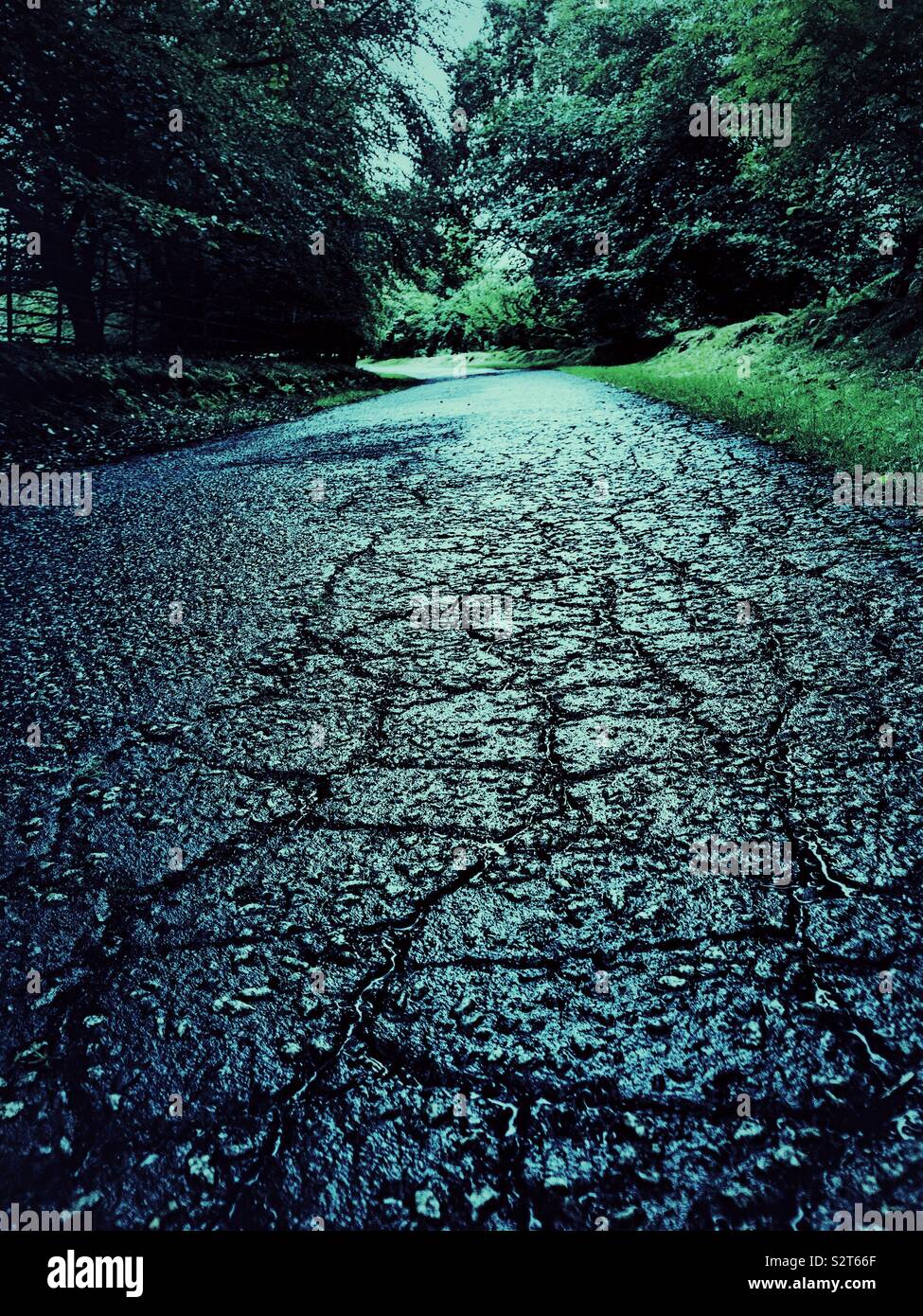 Cracked road surface hi-res stock photography and images - Alamy