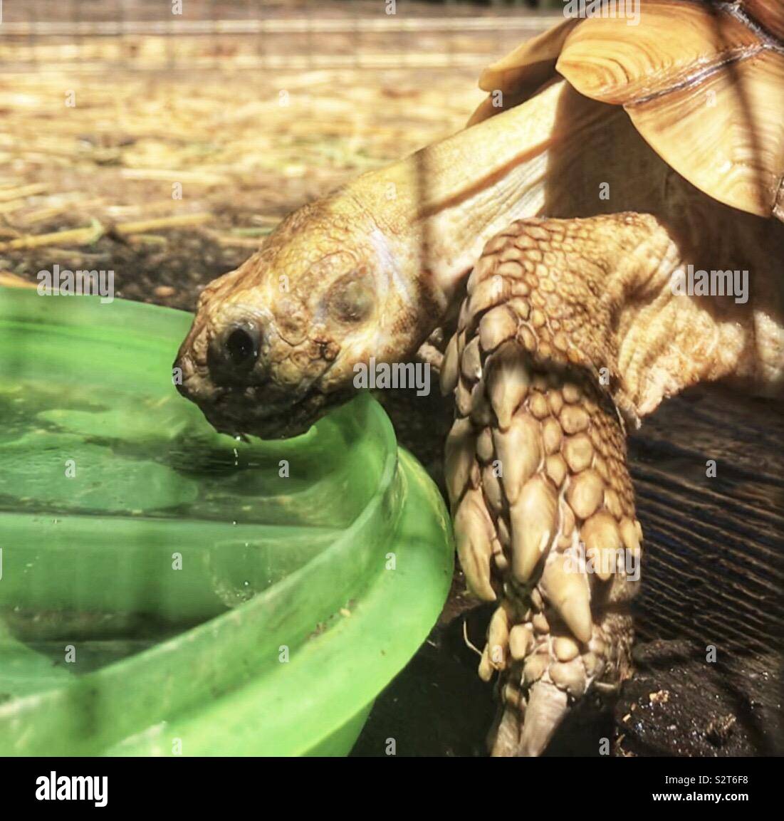 Brown water deck hi-res stock photography and images - Alamy