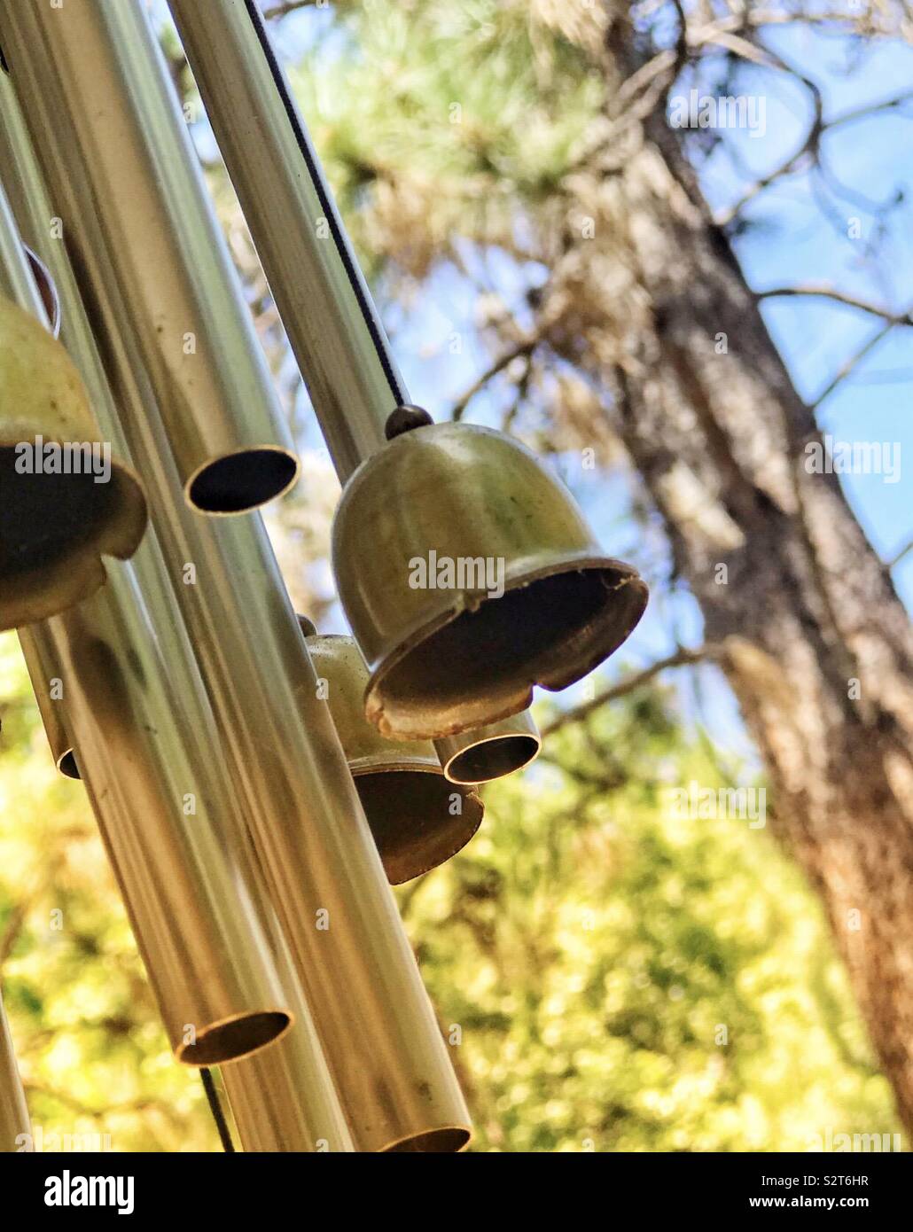 Gold shining in the sun hi-res stock photography and images - Alamy
