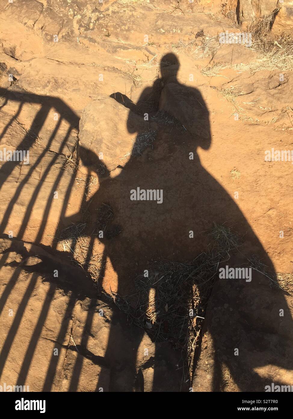 Shadow selfie hi-res stock photography and images - Alamy