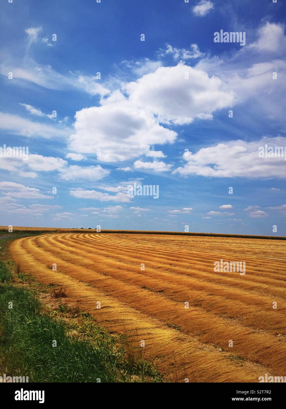 Cultivated field and sky Stock Photo - Alamy