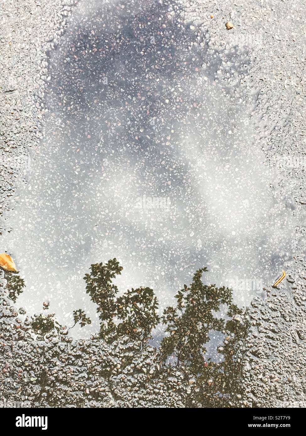 Reflection of trees and sky in a puddle Stock Photo - Alamy