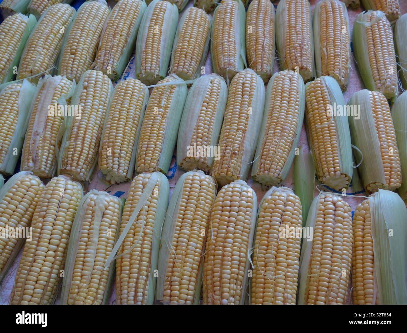 Corn on the cob Stock Photo - Alamy