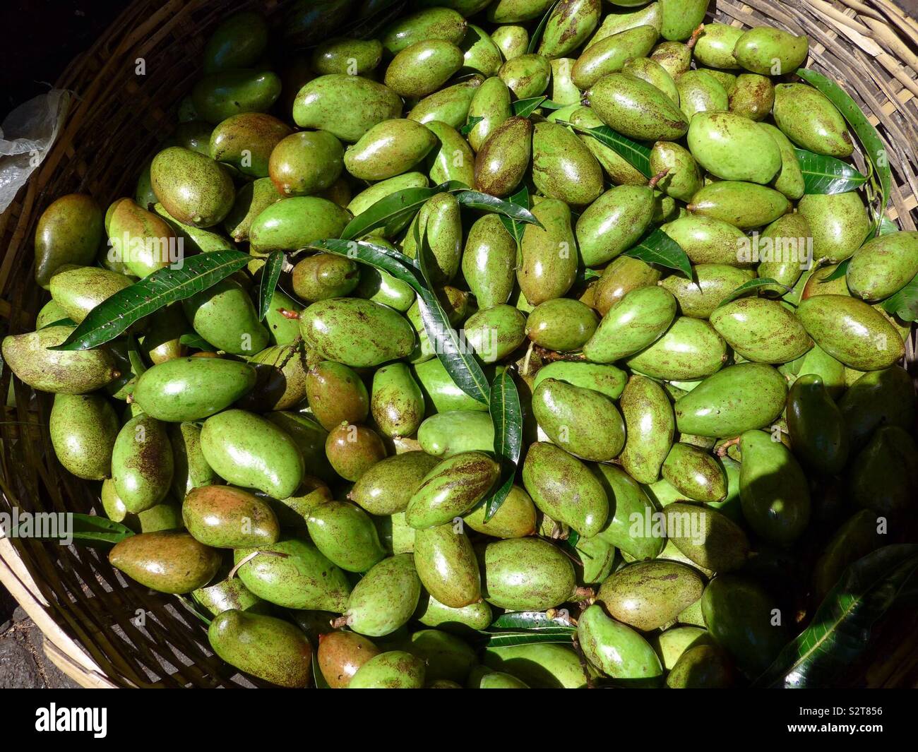 Avocado pears hi-res stock photography and images - Alamy