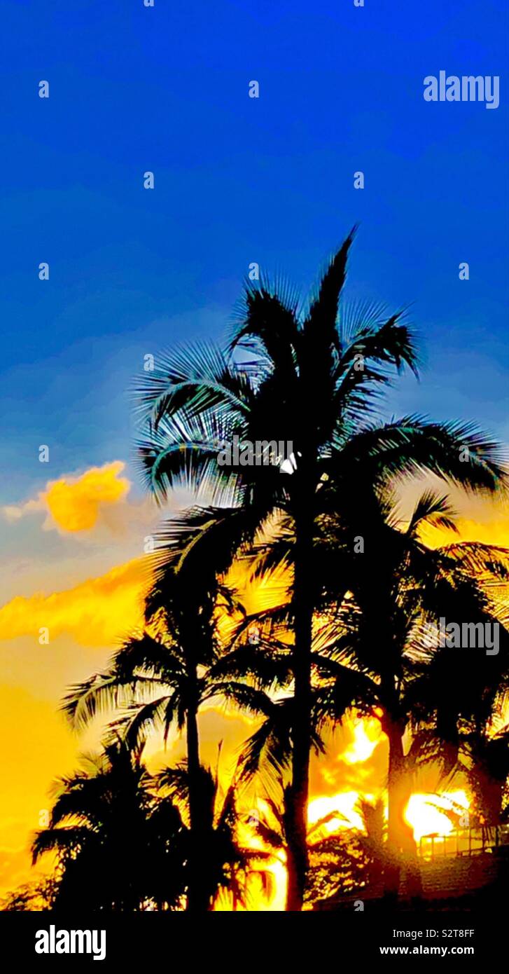 Saturated color hi-res stock photography and images - Alamy