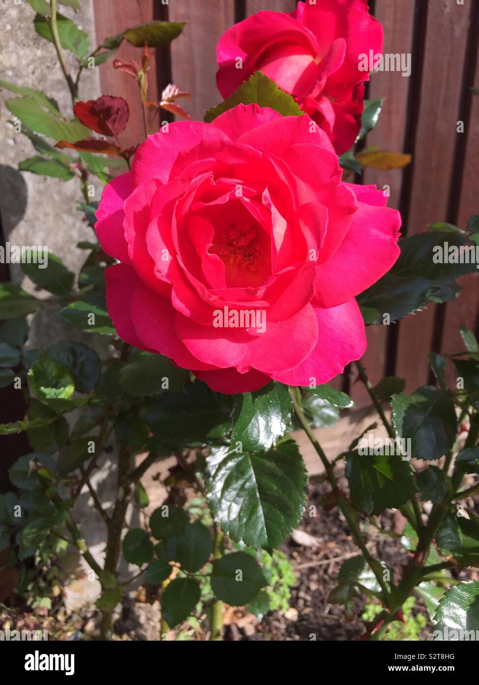 Red britain hi-res stock photography and images - Alamy