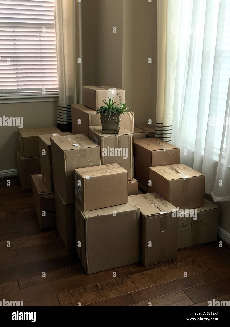 Plant boxes hi-res stock photography and images - Alamy