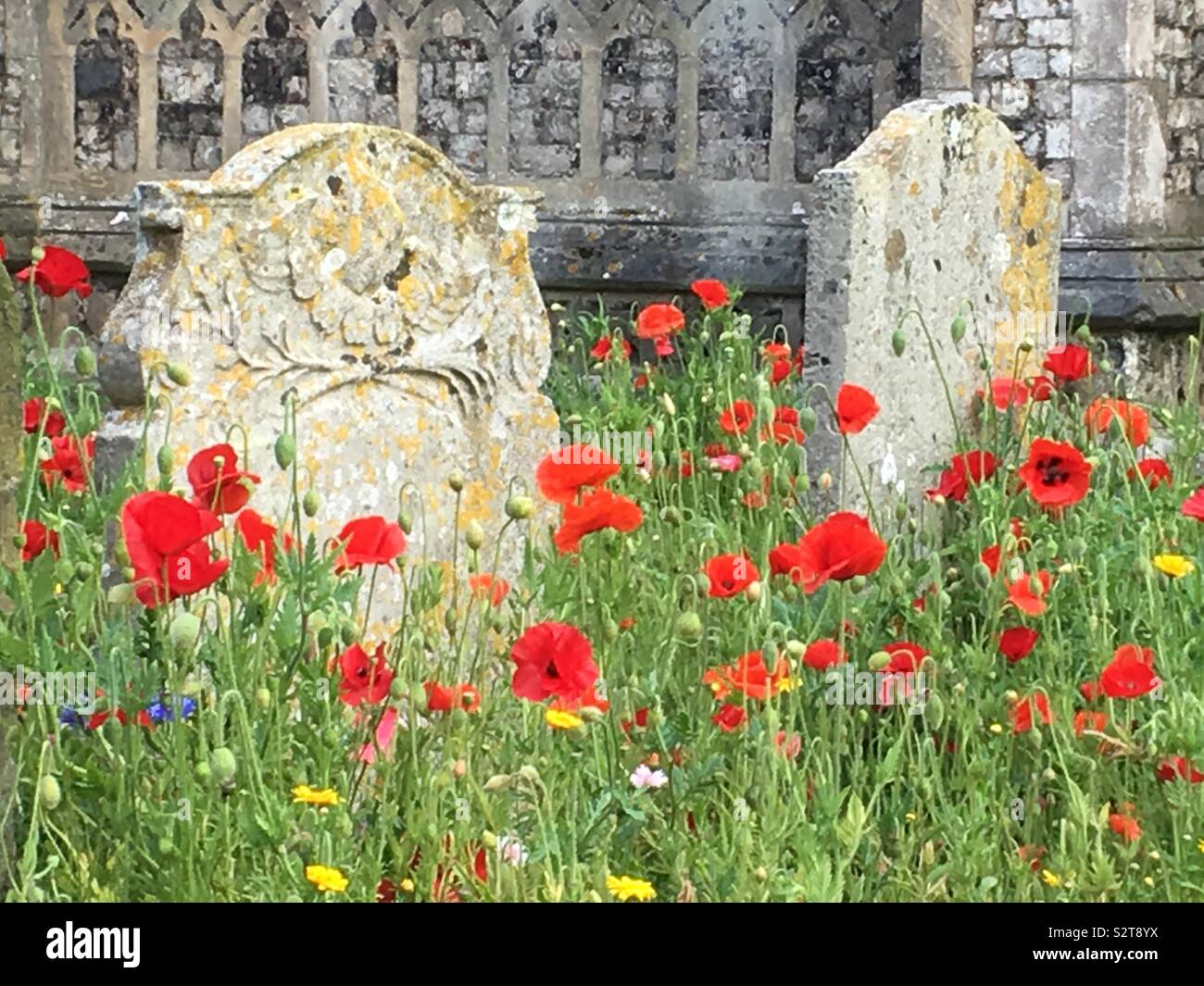 Church gravestones, Cromer, Norfolk, East Anglia, England Stock Photo ...