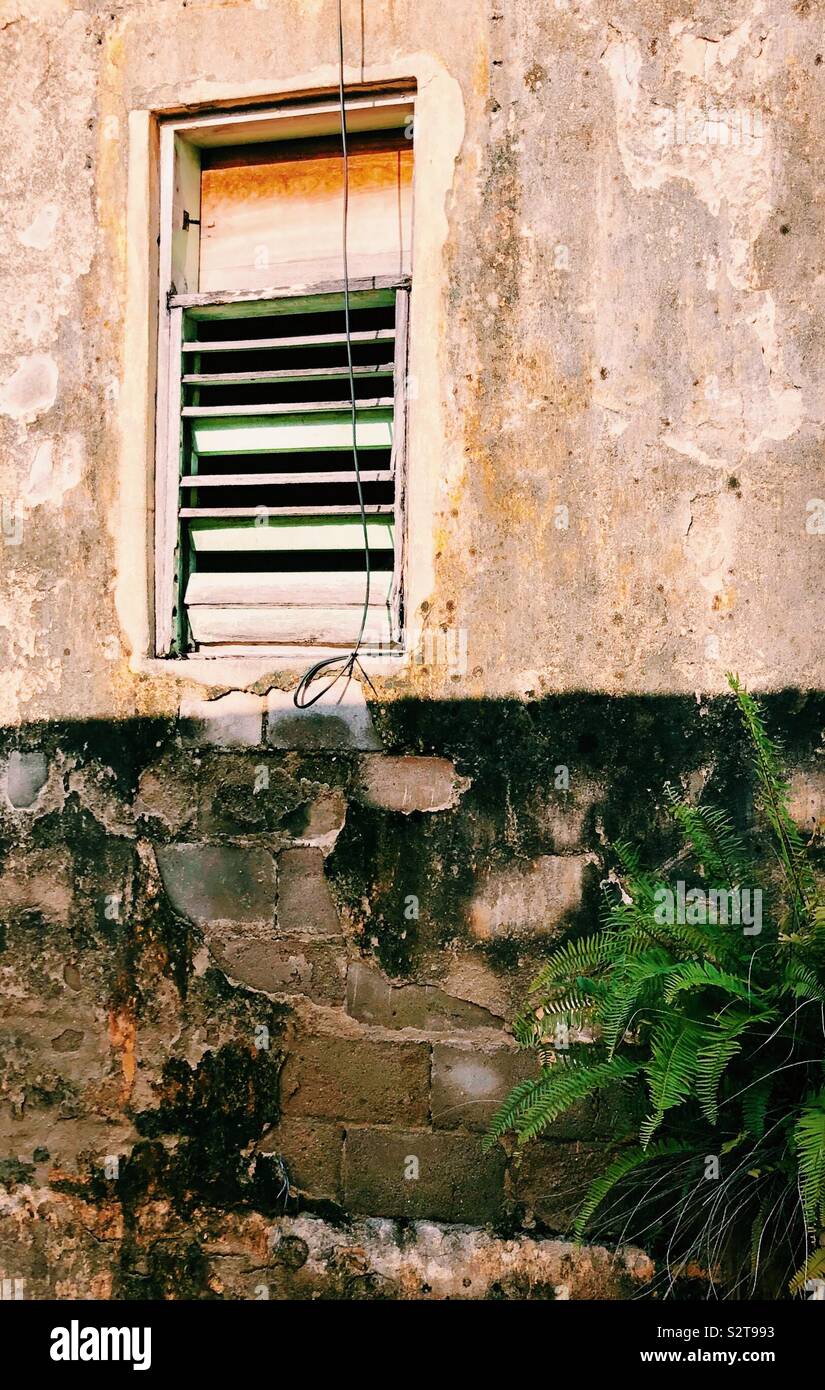 Halfly High Resolution Stock Photography and Images - Alamy