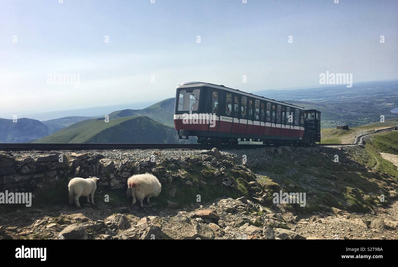 Train on snowdon mountain railway hi-res stock photography and images ...
