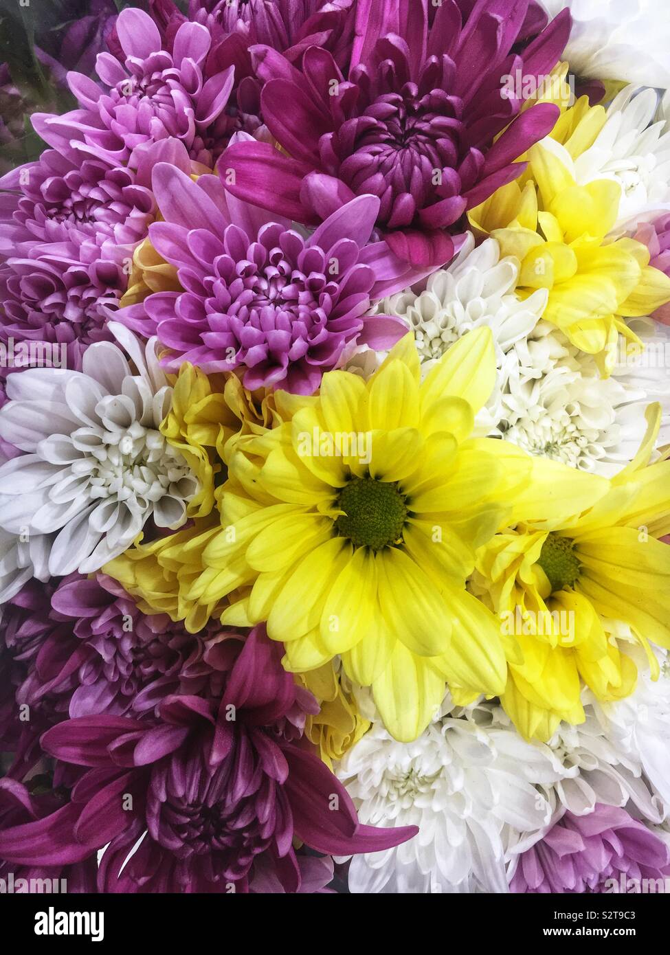Beautiful bouquet of fresh summer flowers Stock Photo - Alamy