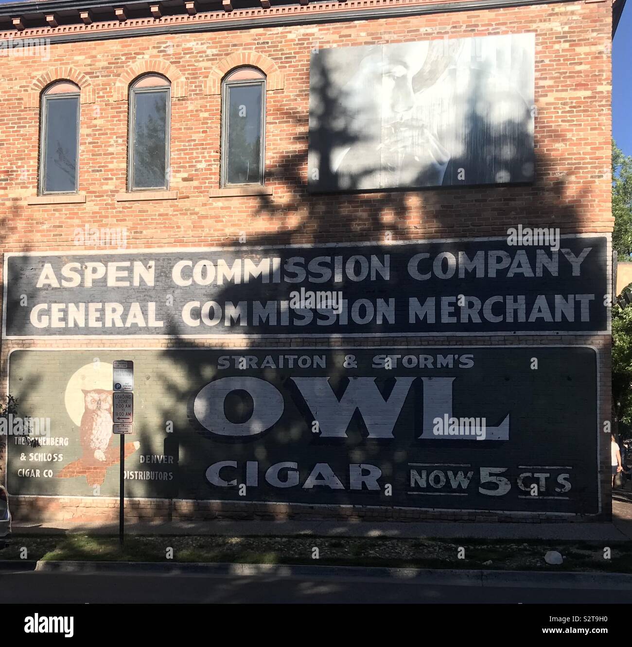 Old aspen hi-res stock photography and images - Alamy