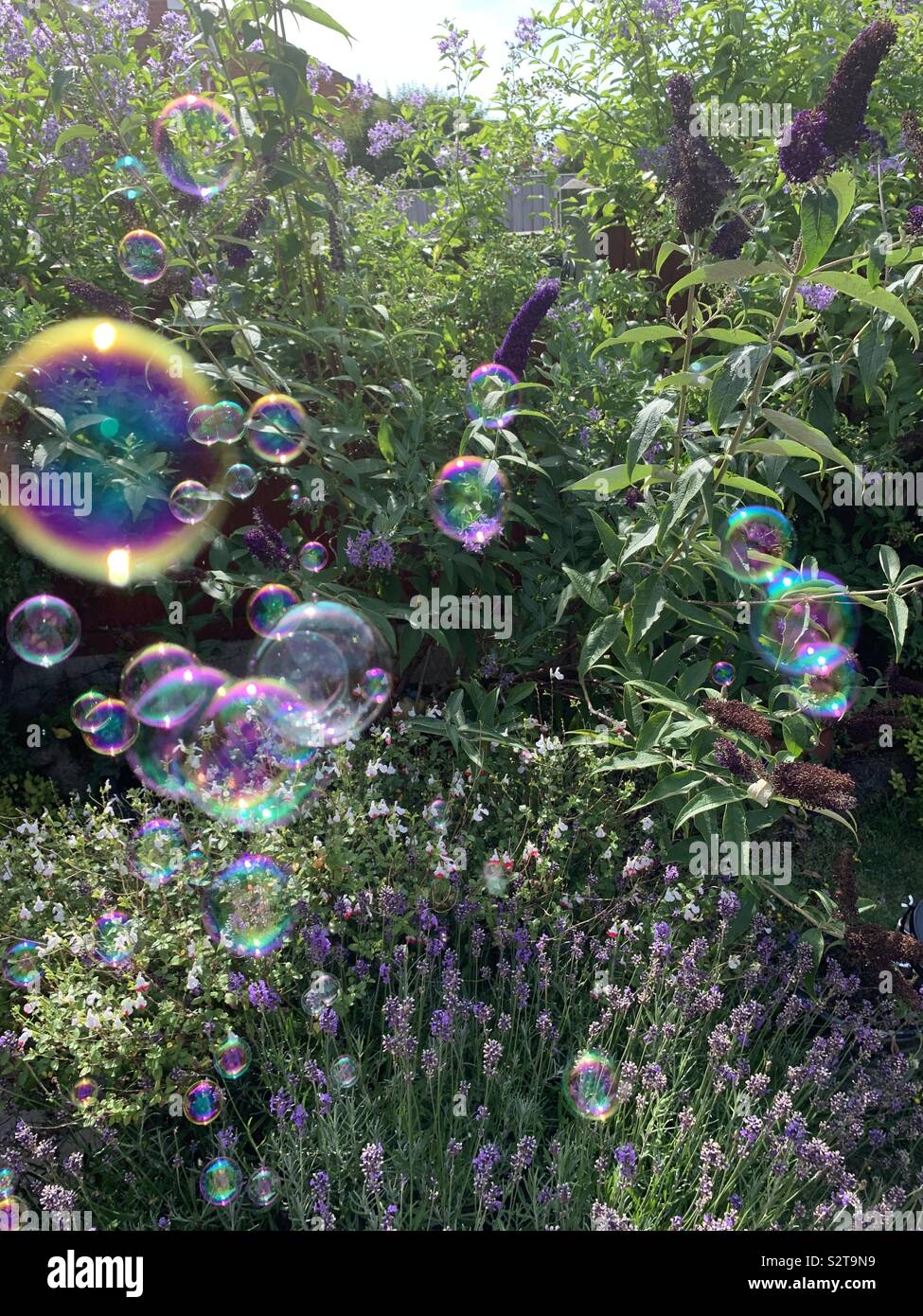 Bubbles garden hi-res stock photography and images - Alamy